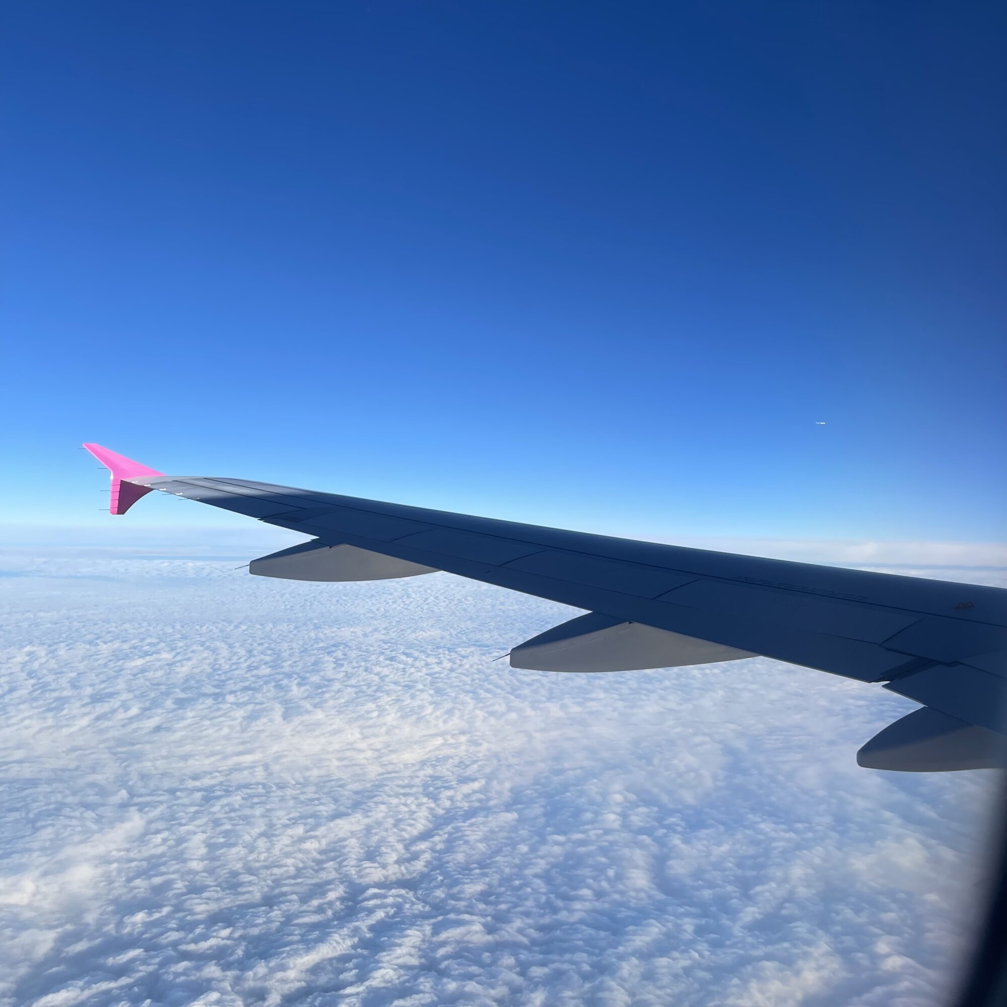 関西から仙台への出張者必見！JAL, ANA, Peach, Skymark徹底比較LCC(peach)のコスパは最高です。 - 人生まいどあり⤴️！